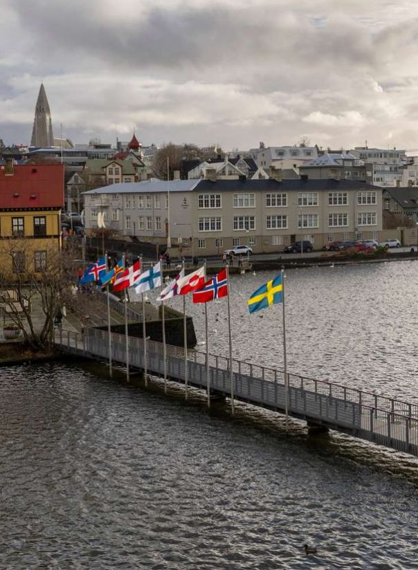 New NATO map to mark Sweden's full membership - Nordregio